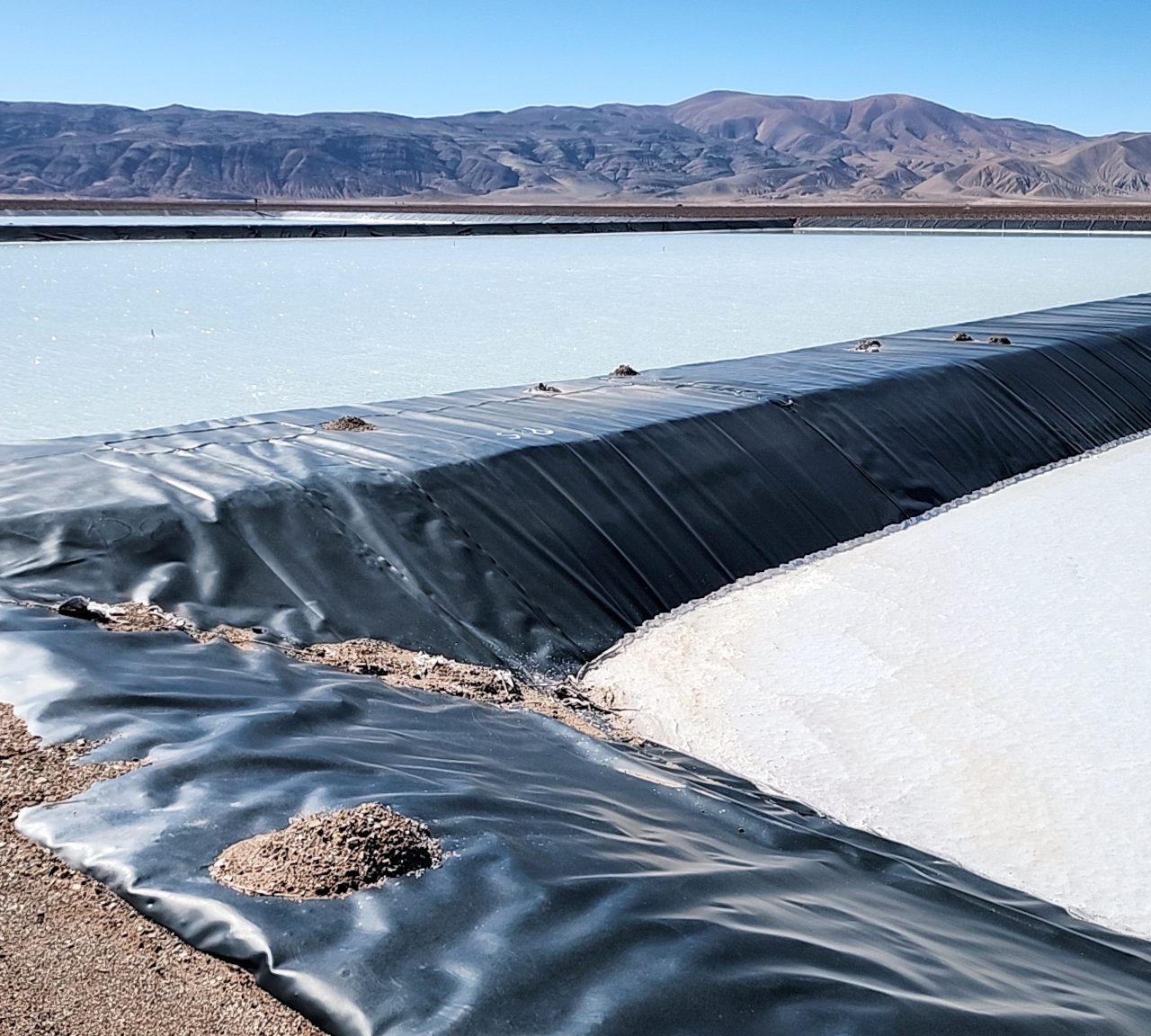 Proyecto Pozuelos – Pastos Grandes – Ganfeng Lithium LATAM